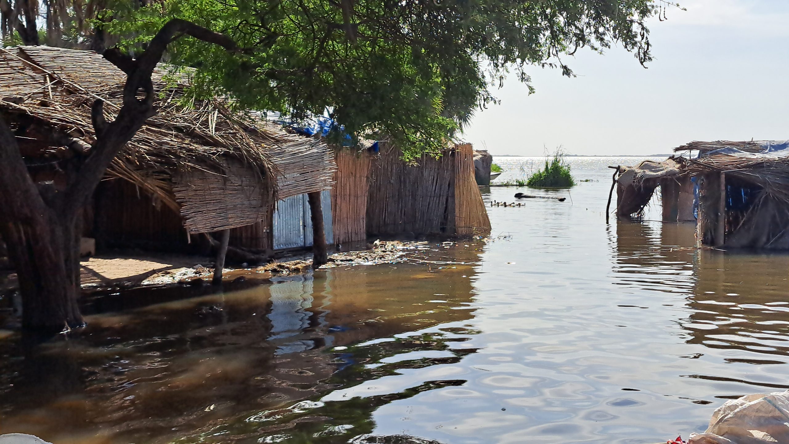 Tchad : Au Lac, les populations s'organisent face à la menace de la ...
